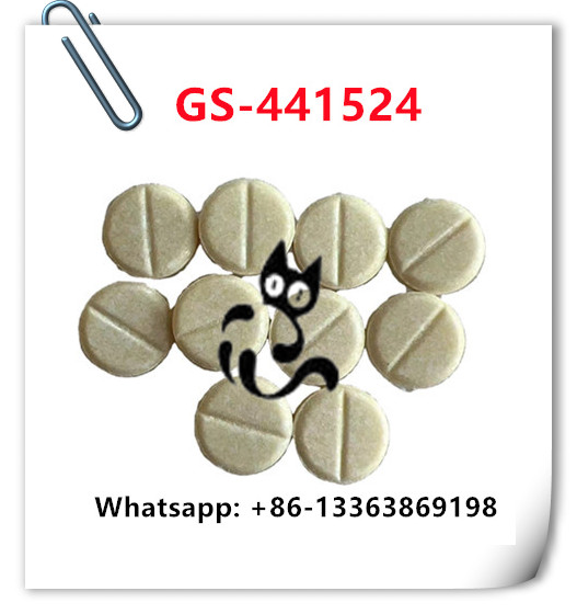 GS-441524 tablets 40mg treatment cat FIP GS-441524 – Hebei weimiao